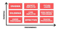 How-to Guide: 9-Box & Leadership Competency Model - Predictive Success