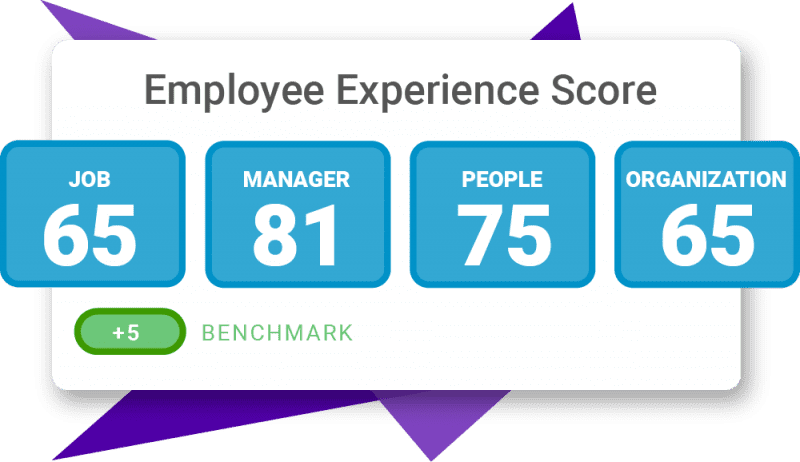 Employee Engagement Assessment | Employee Engagement Tools | Predictive ...